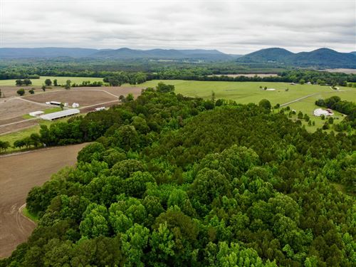 Floyd County Georgia Land for Sale : LANDFLIP