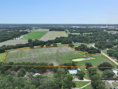 Florida Land for Sale, 10 - 20 Acres : LANDFLIP