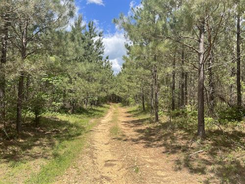 Tennessee Land for Sale : LANDFLIP