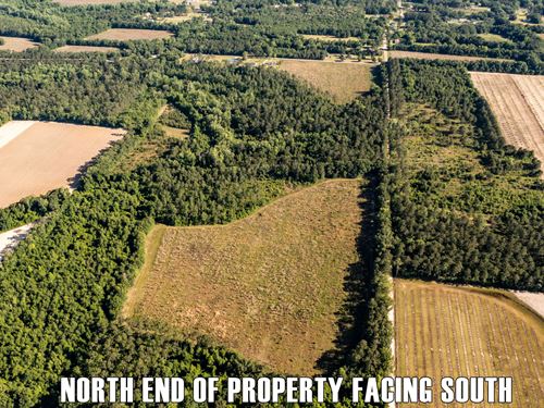 Georgia Land for Sale by Owner (FSBO) : LANDFLIP