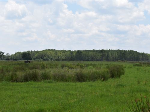 Florida Pasture Land for Sale : LANDFLIP
