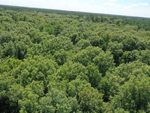 Louisiana Land for Sale : Page 12 of 21 : LANDFLIP