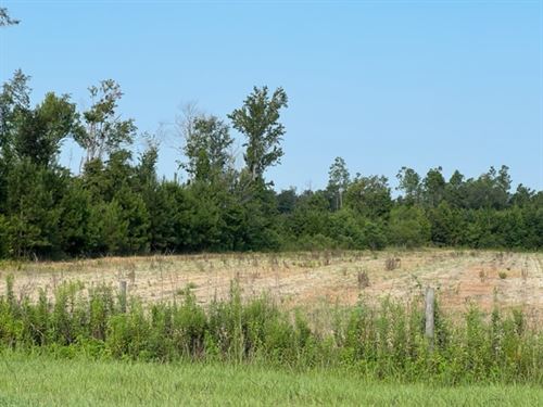 Florida Land for Sale, 10 - 20 Acres : LANDFLIP
