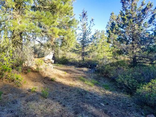 Owner Finance Land for Sale : LANDFLIP