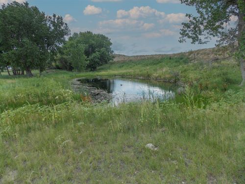 Colorado Land for Sale : Page 59 of 63 : LANDFLIP