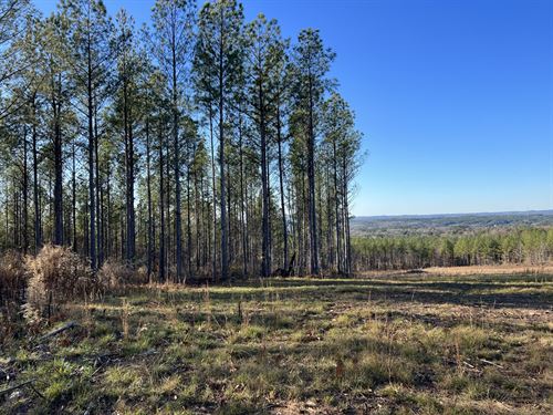 Alabama Land for Sale : LANDFLIP