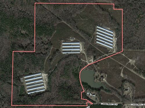 Georgia Land for Sale : Page 15 of 93 : LANDFLIP