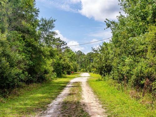 Florida Land for Sale : LANDFLIP