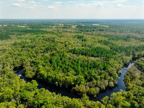Georgia Pond Land for Sale : LANDFLIP