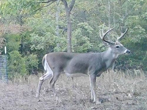 Oklahoma Land for Sale : Page 3 of 15 : LANDFLIP