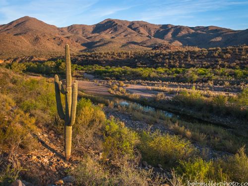 United Country Real Estate Land for Sale : LANDFLIP