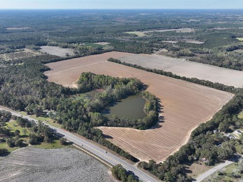 Georgia Pond Land for Sale : Page 10 of 14 : LANDFLIP