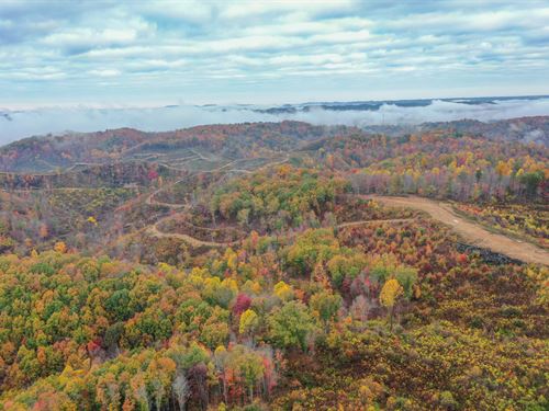 Ohio Land for Sale : LANDFLIP