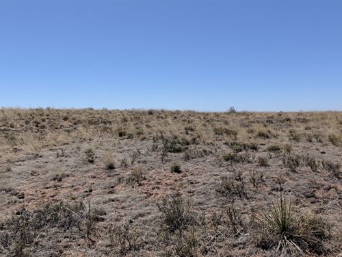 Arizona Land for Sale : Page 20 of 54 : LANDFLIP