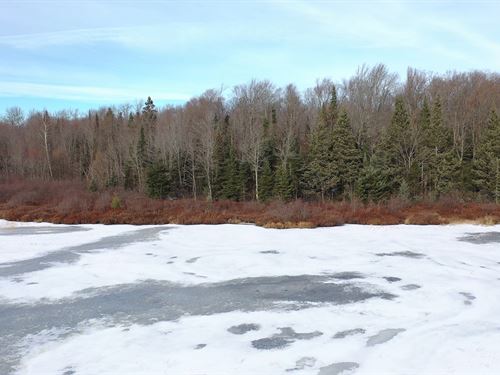 Michigan Land for Sale : Page 6 of 9 : LANDFLIP