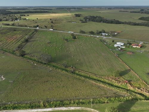 Florida Land for Sale : LANDFLIP