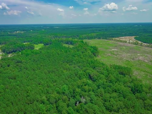 Horry County South Carolina Land for Sale : LANDFLIP