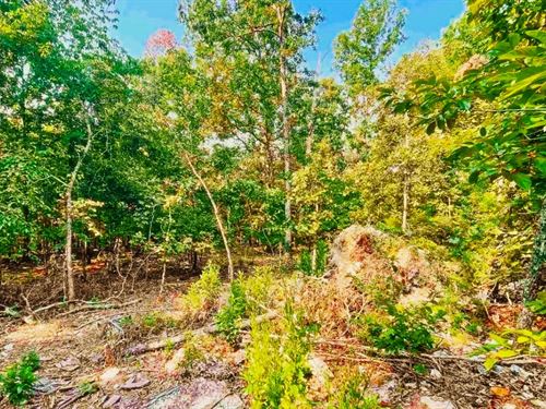 Arkansas Land for Sale : LANDFLIP