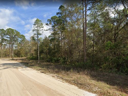 Florida Land for Sale : Page 2 of 93 : LANDFLIP
