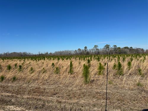 Georgia Land for Sale : Page 6 of 88 : LANDFLIP