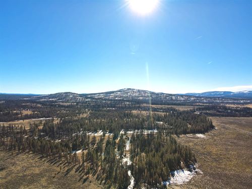 Land for Sale Over 5 Acres : LANDFLIP