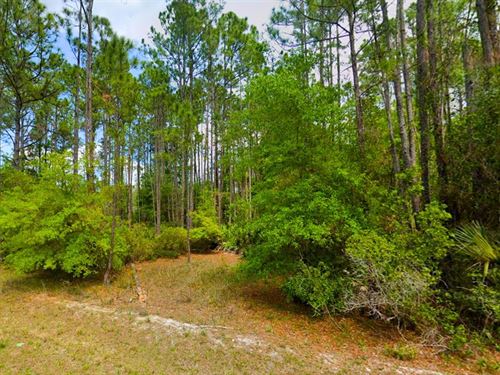 Florida Land for Sale : Page 8 of 104 : LANDFLIP