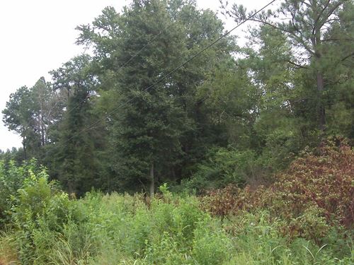 Burke County Georgia Land for Sale