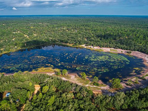 Florida Land for Sale by Owner (FSBO) : LANDFLIP