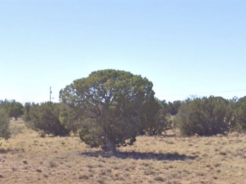 Arizona Land for Sale : Page 6 of 45 : LANDFLIP