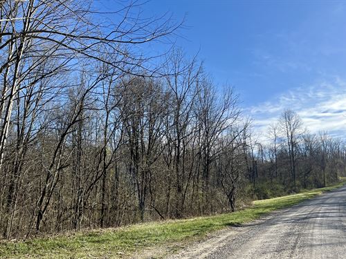 Ohio Land for Sale : Page 10 of 15 : LANDFLIP