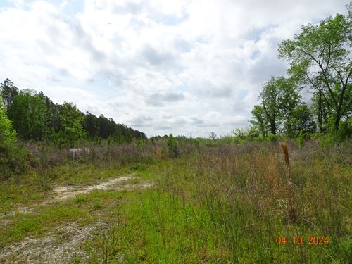 Twiggs County Georgia Land for Sale
