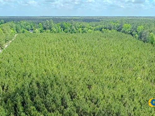 South Carolina Land for Sale : Page 10 of 24 : LANDFLIP