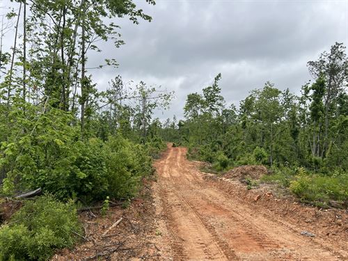 Alabama Land for Sale : Page 19 of 66 : LANDFLIP