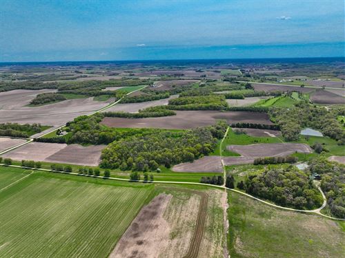 Minnesota Land for Sale : LANDFLIP