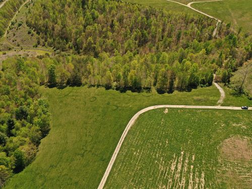 Kentucky Land for Sale Over 2 Acres : Page 4 of 7 : LANDFLIP