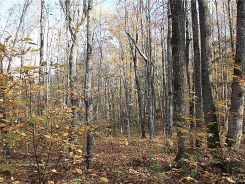 Timothy Keohane : Great Lakes & Land Real Estate Co Land for Sale ...