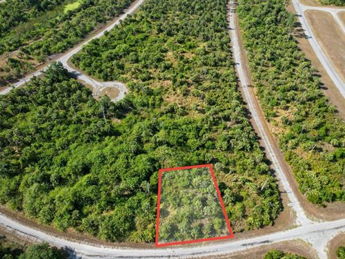 Florida Land for Sale : LANDFLIP