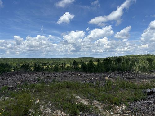 North Carolina Land for Sale : Page 26 of 35 : LANDFLIP