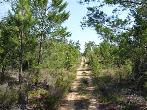 Owner Finance Florida Land for Sale : LANDFLIP