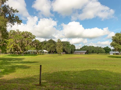 Florida Land for Sale, 10 - 20 Acres : LANDFLIP