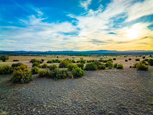 Desert Land for Sale