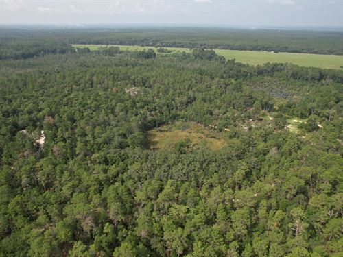 Florida Land for Sale : LANDFLIP