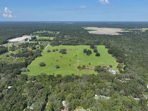 Florida Pasture Land for Sale