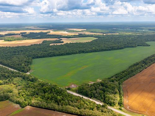 South Carolina Land for Sale : Page 7 of 26 : LANDFLIP