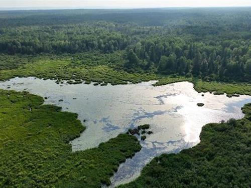 Timothy Keohane : Great Lakes & Land Real Estate Co Land for Sale