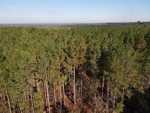 Wilkes County Georgia Land for Sale