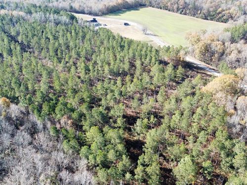 Hatton Alabama Land for Sale