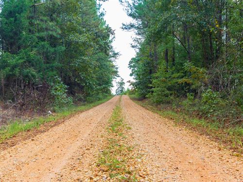 Lamar County Alabama Development Land for Sale : LANDFLIP
