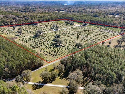 Marion County Florida Nursery Land for Sale : LANDFLIP
