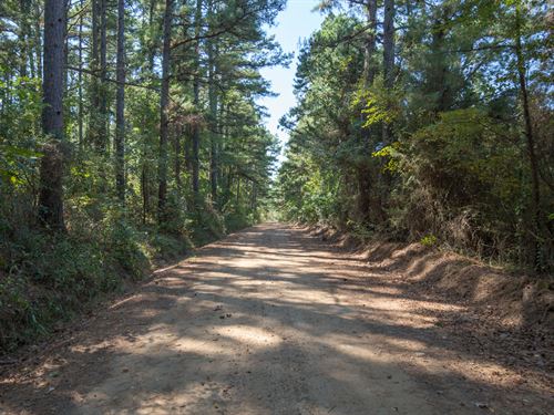 Bailey Springer : Classic Country Land Land for Sale